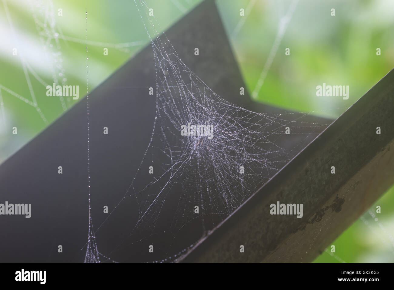 cobweb or spider web abstract background in nature Stock Photo - Alamy