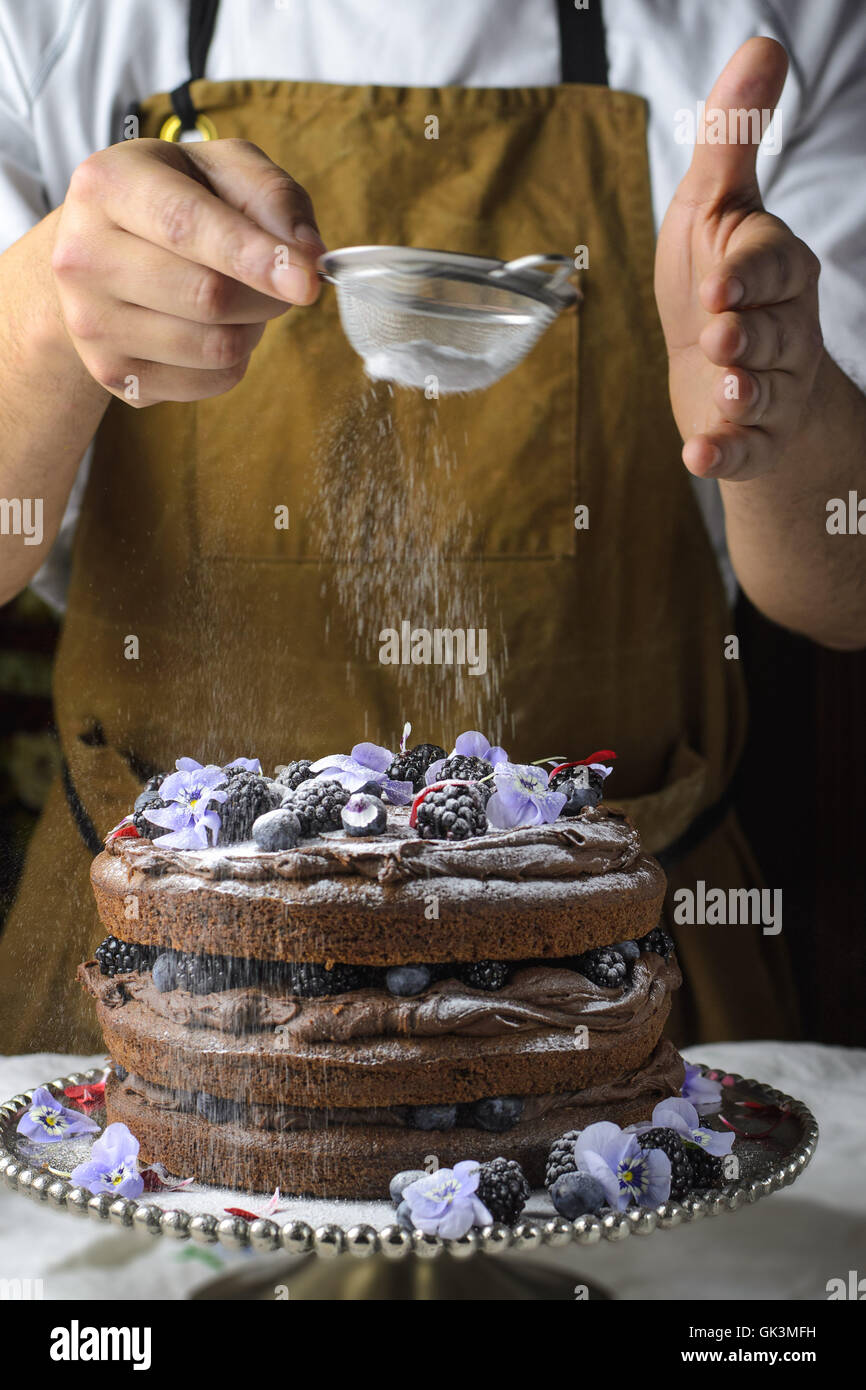 Berry chocolate cake Stock Photo - Alamy