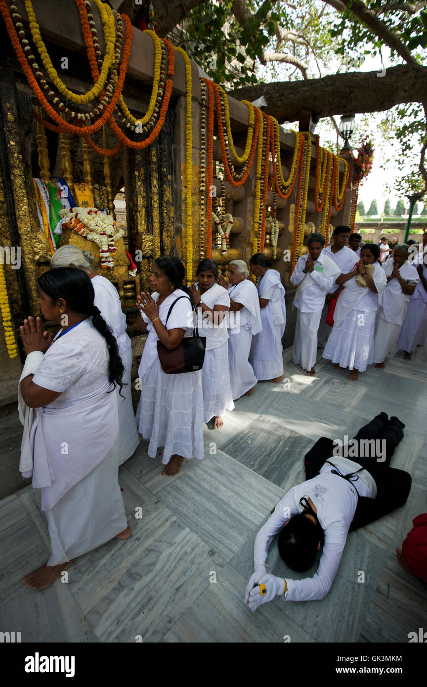 North-Central India, India --- A Korean pilgrim prostrates herself ...