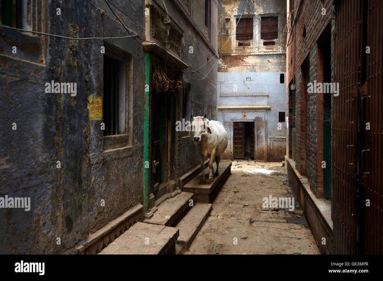 Varanasi alley hi-res stock photography and images - Alamy