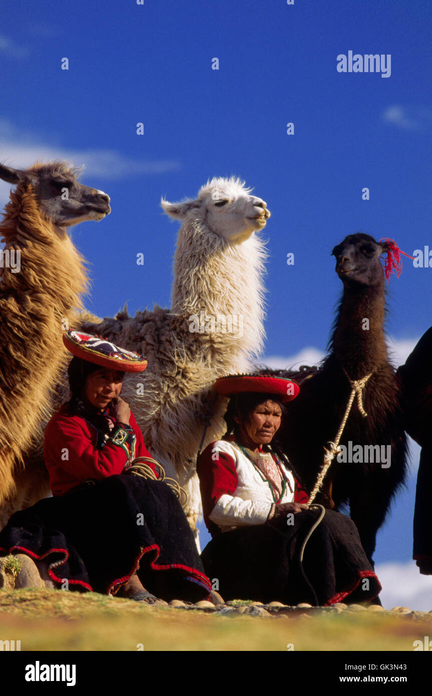 ca. 1980-1995, Cuzco, Peru --- A group of highlanders sit beside their llamas. Peru. --- Image ...