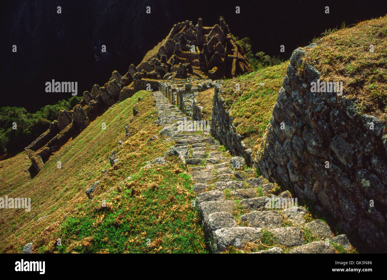 ca. 1980-1995 --- A flight of stone steps flanked by terracing at the ...