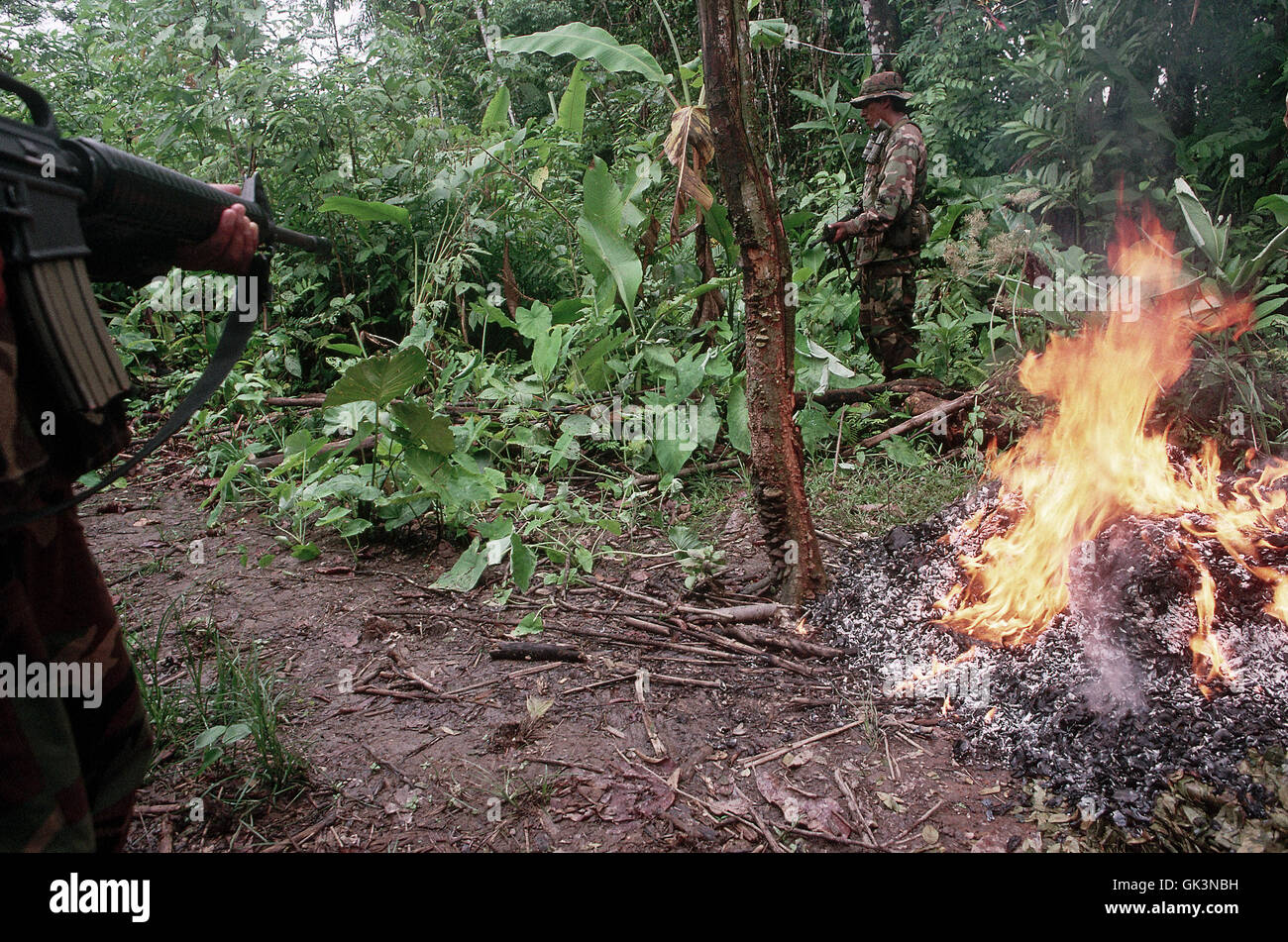 Chapare bolivia hi-res stock photography and images - Alamy