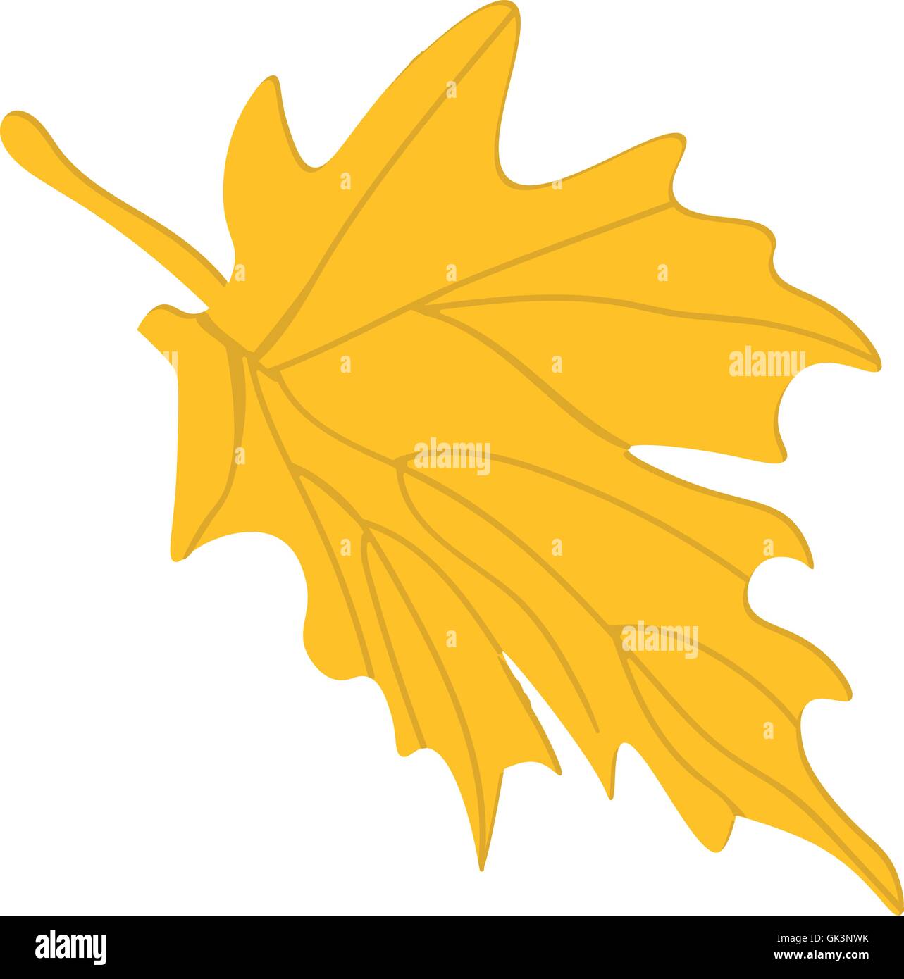 Maple leaf vector. Autumn leaves. Tree leaves vector. Fall leaf ...