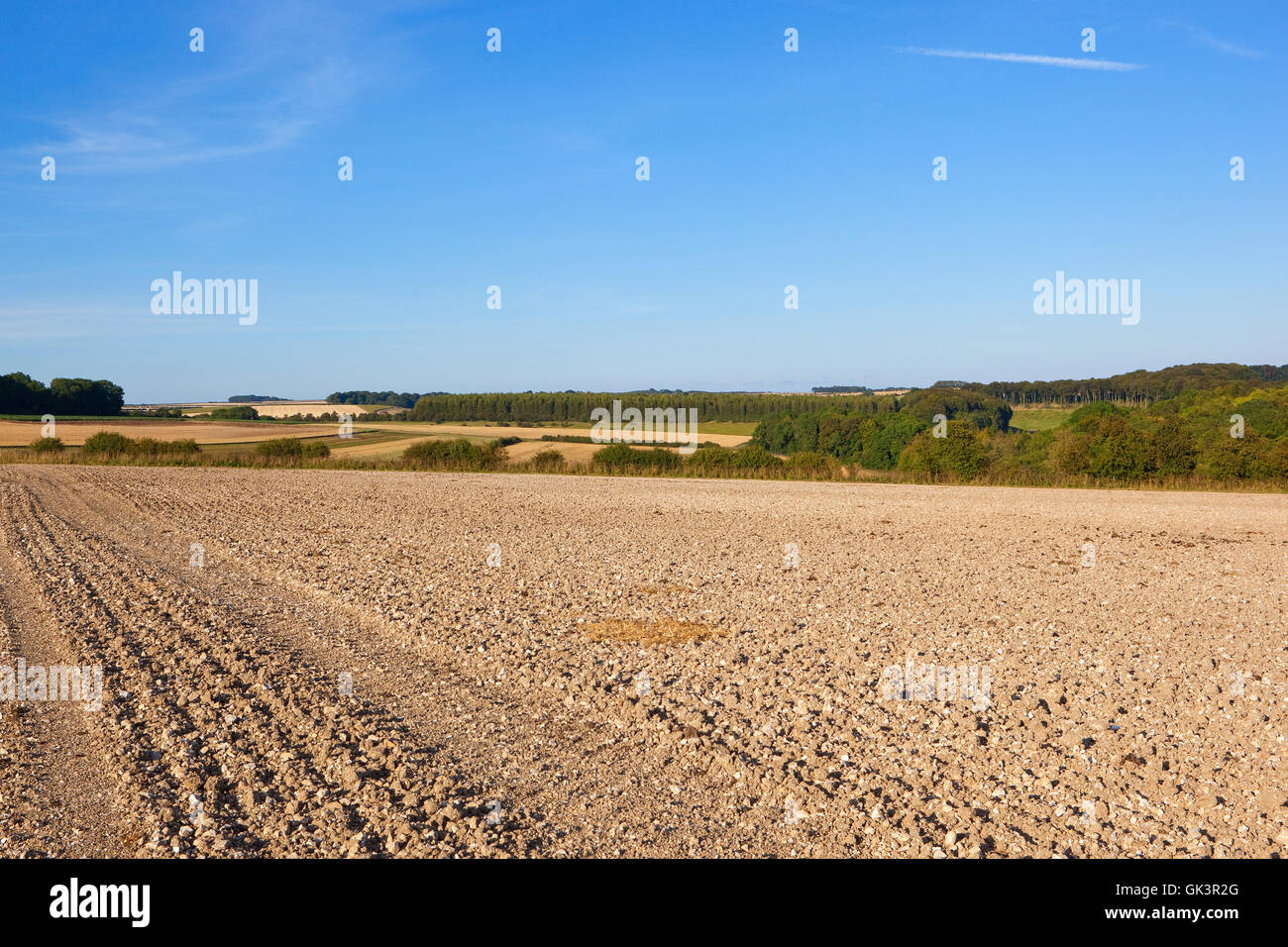 Patterns and textures of cultivated arable land under a blue summer sky ...