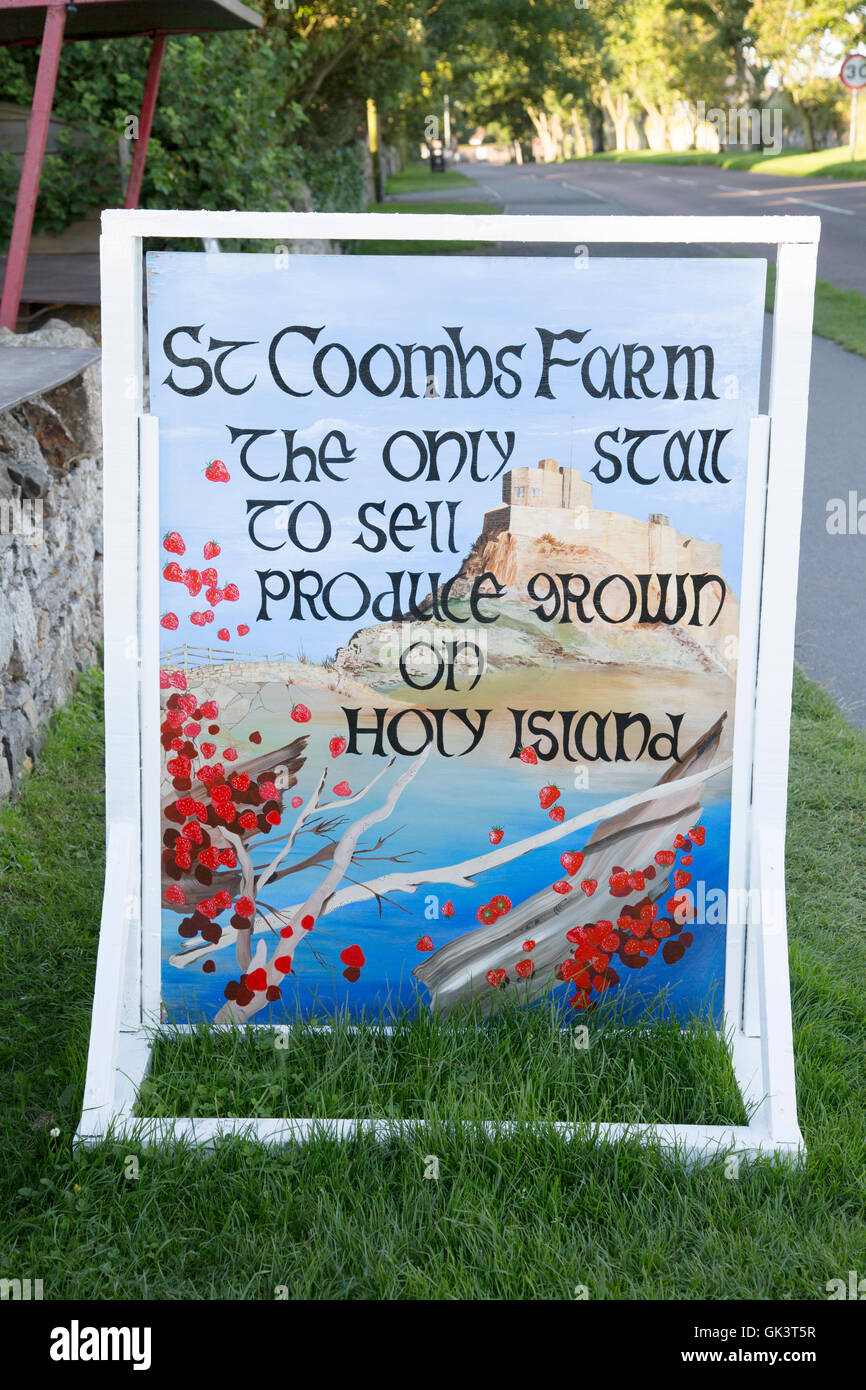 St Coombs Farm Sign, Lindisfarne, Holy Island; Northumberland; England ...