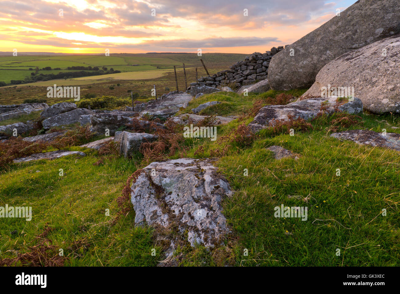 Bodmin moor heather hi-res stock photography and images - Alamy