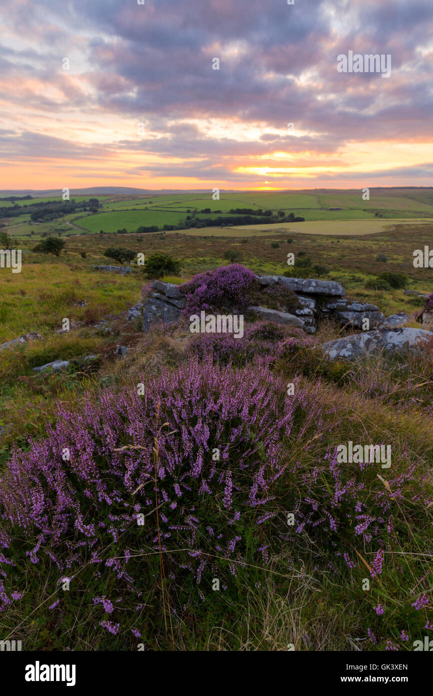 Bodmin moor cornwall hi-res stock photography and images - Alamy