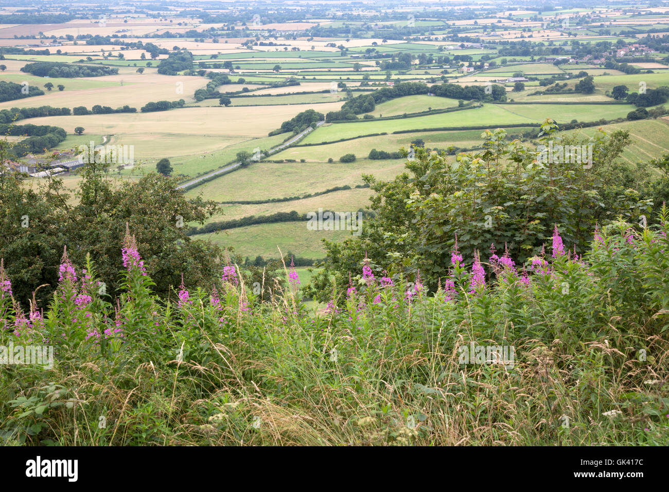 Sutton Bank Landscape, North York Moors, England, UK Stock Photo - Alamy