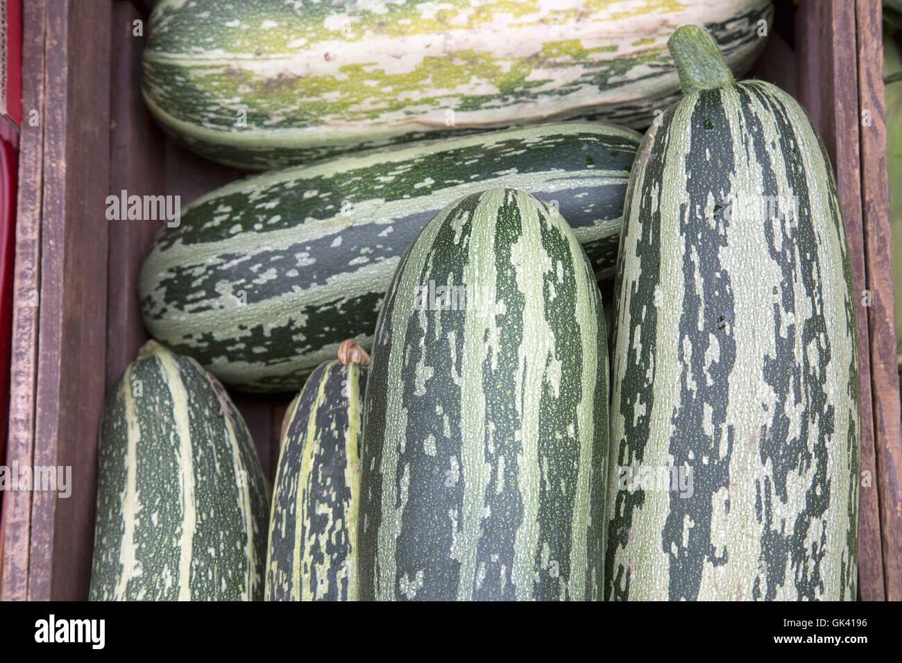 Marrow Vegetable Background Stock Photo - Alamy