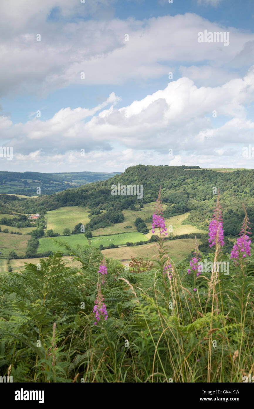 Sutton Bank Landscape, North York Moors, England, UK Stock Photo - Alamy