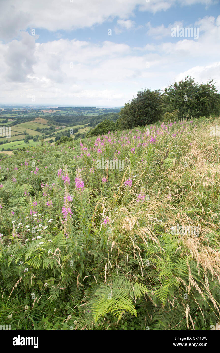 Sutton Bank Landscape, North York Moors, England, UK Stock Photo - Alamy