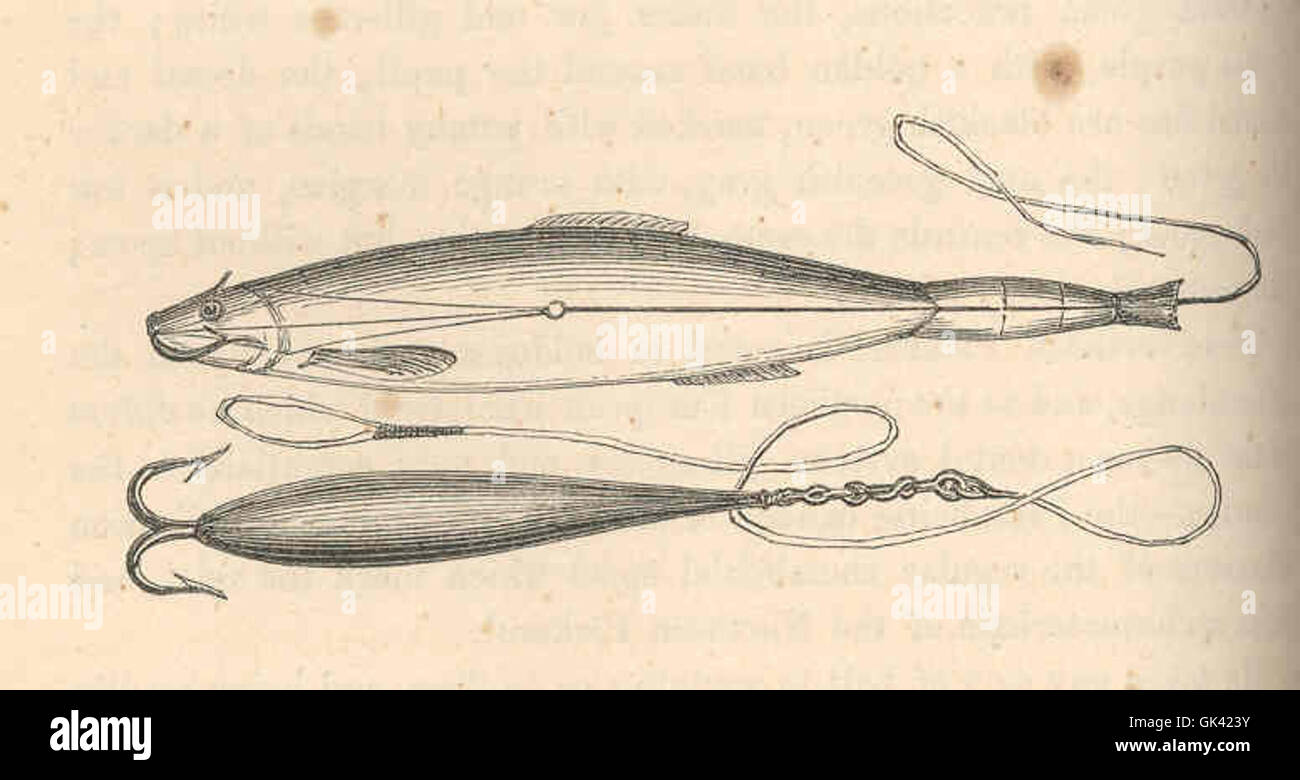 A traditional fishing technique using a gorge hook and bait, common in ...