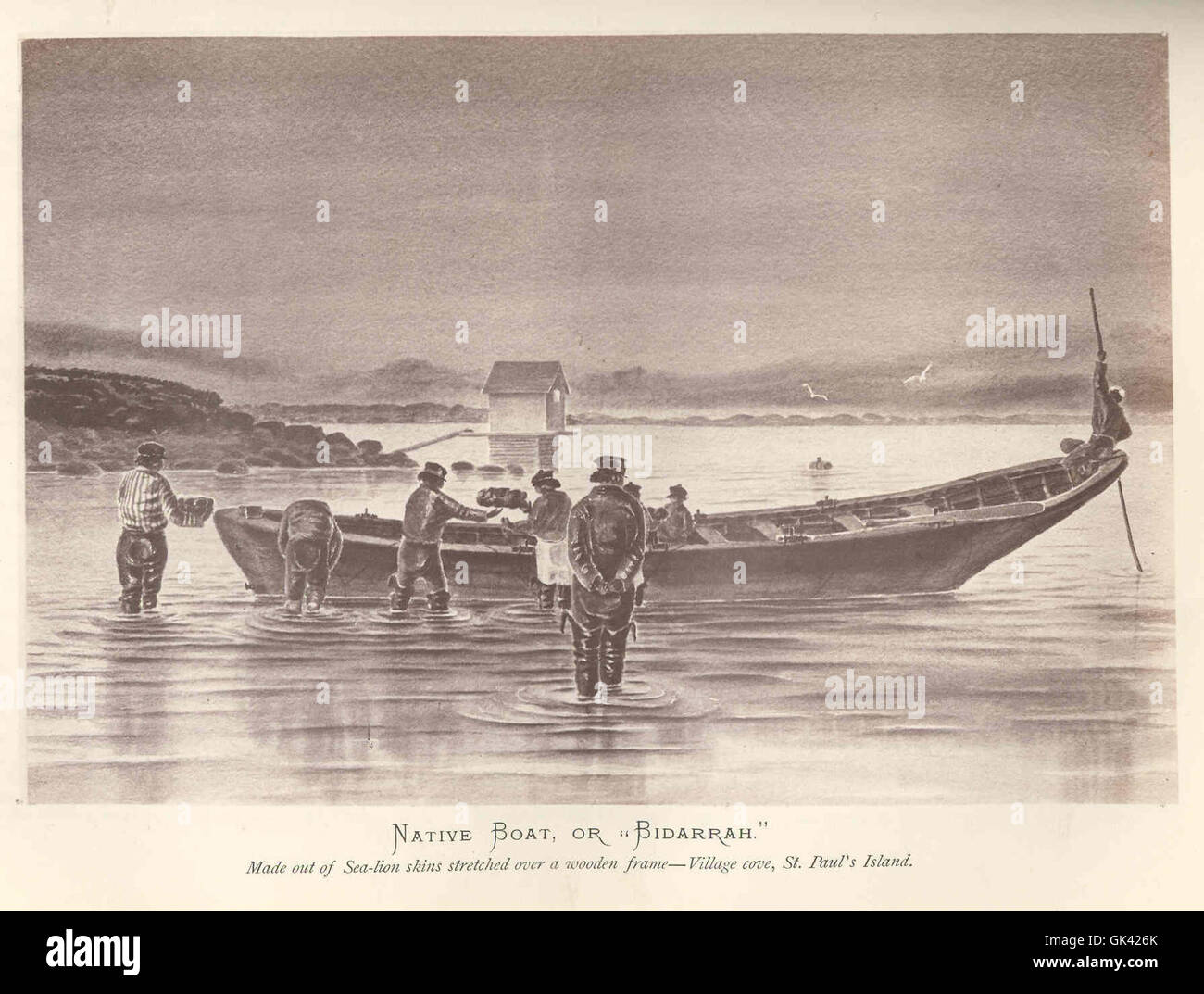 The Bidarrah is a traditional native boat made from sea-lion skins ...