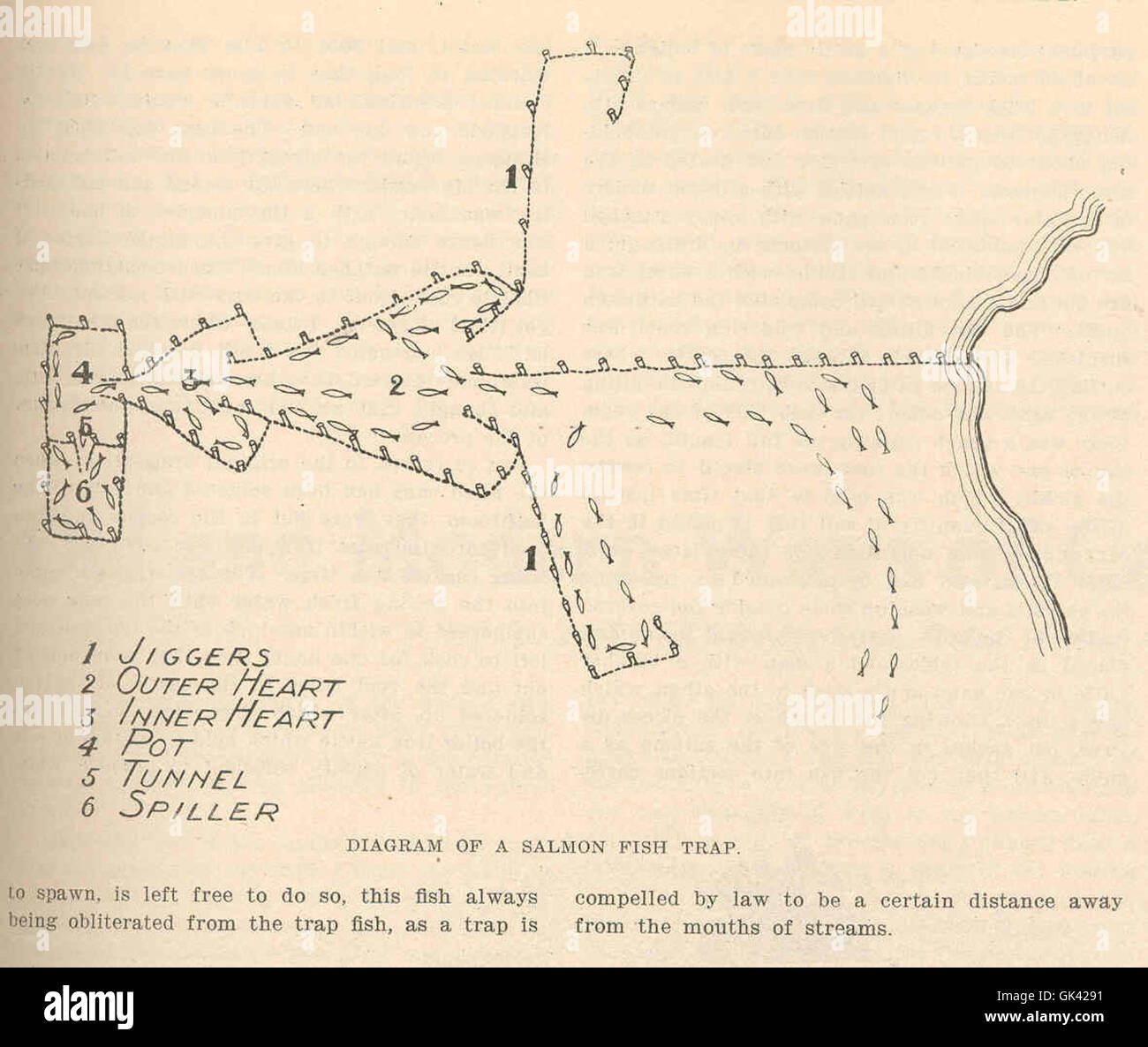 A detailed diagram illustrating the design and function of a salmon ...