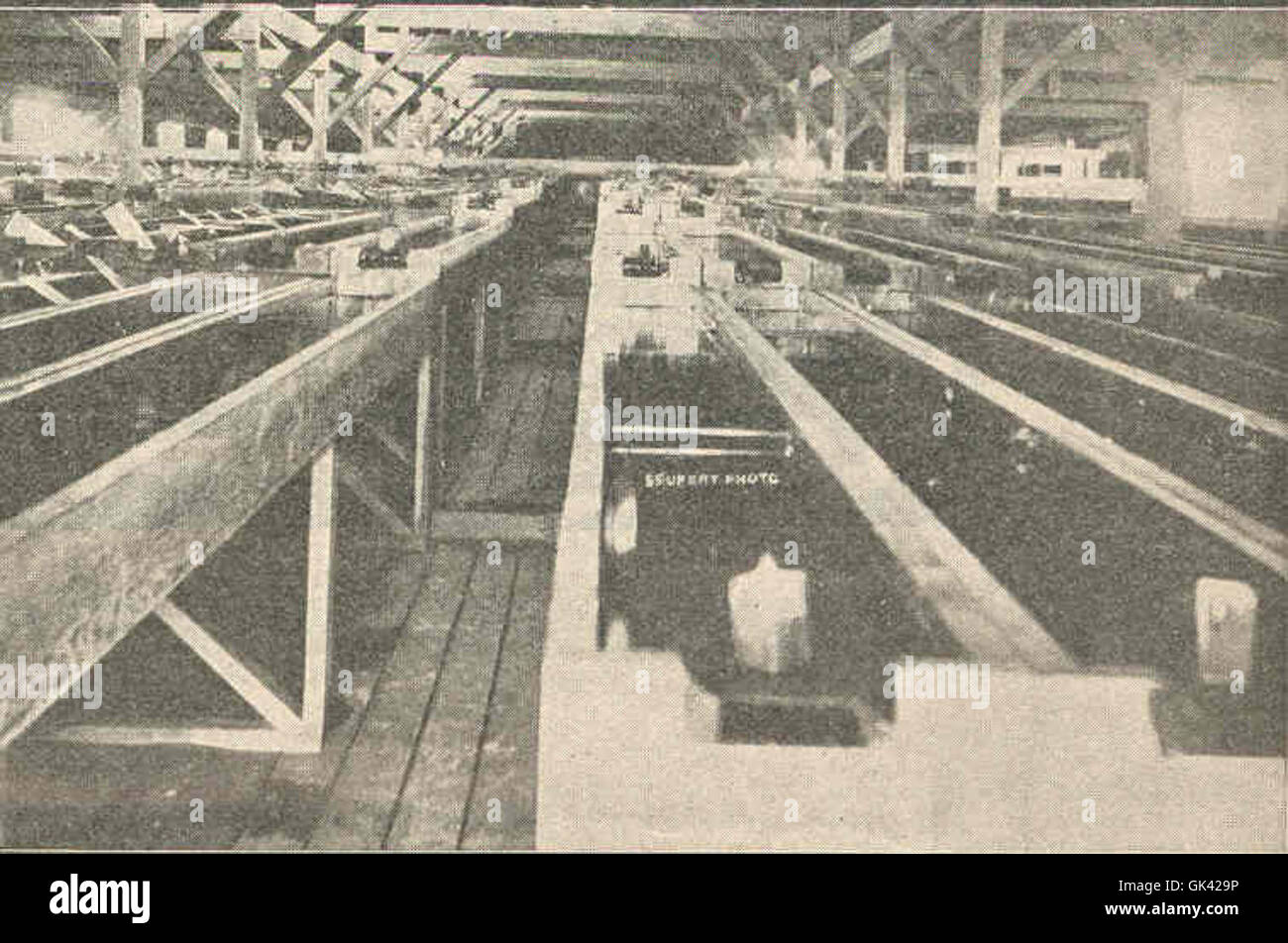 44198 Interior View of Hatchery Stock Photo - Alamy