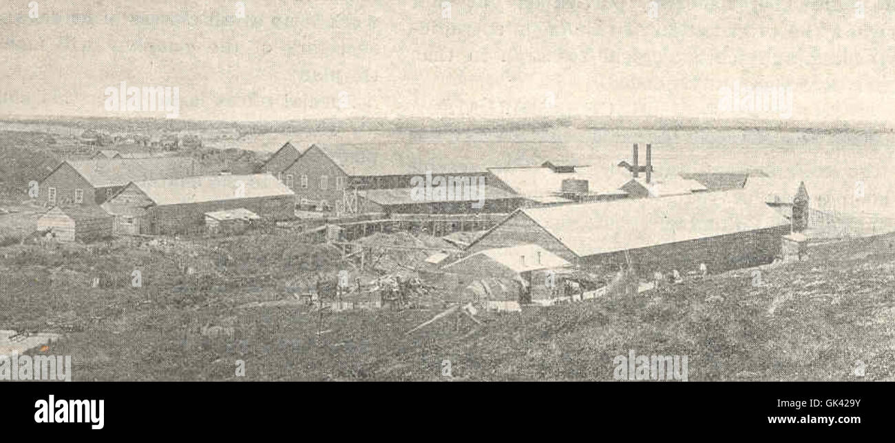 A northern Alaska cannery, an important facility for processing fish ...