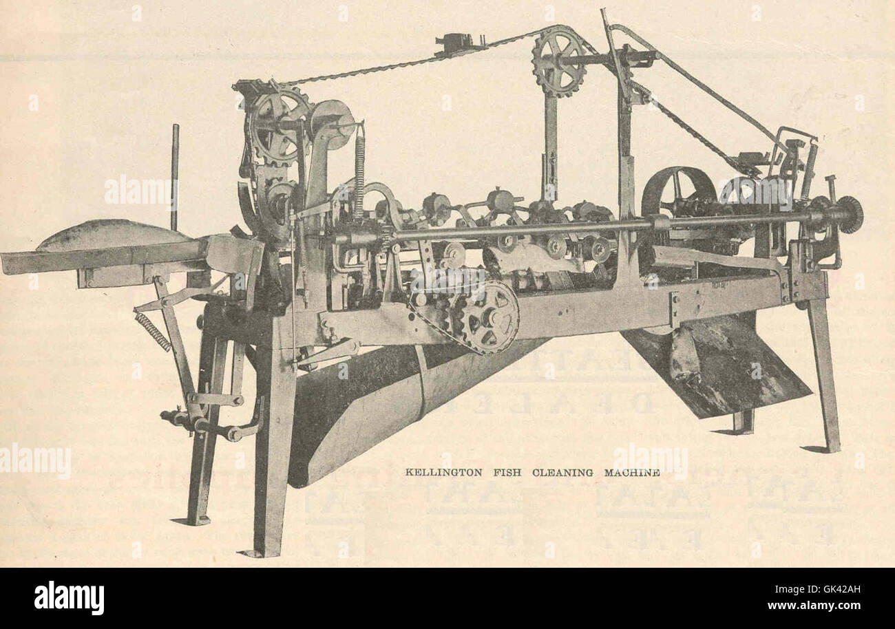 The Killington Fish Cleaning Machine is an industrial device designed ...