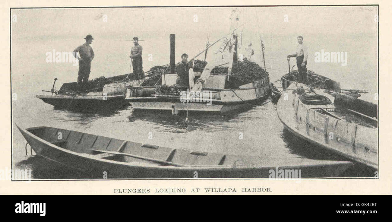 Plungers are tools used for loading and processing seafood, and in this ...