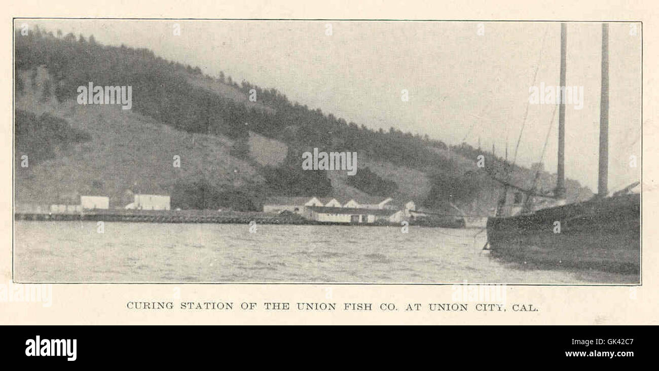 The curing station of the Union Fish Company in Union City, California ...