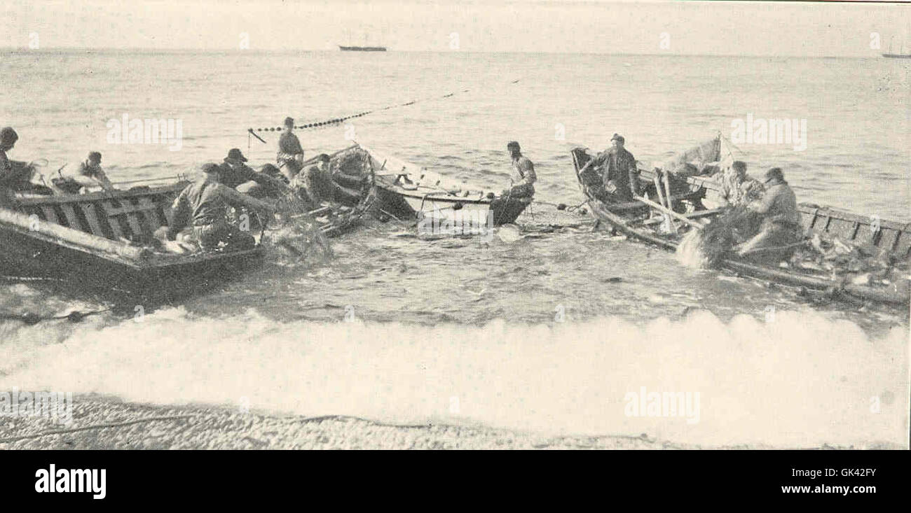 44341 Salmon Fishing in Alaska- Drawing the Seine Stock Photo - Alamy