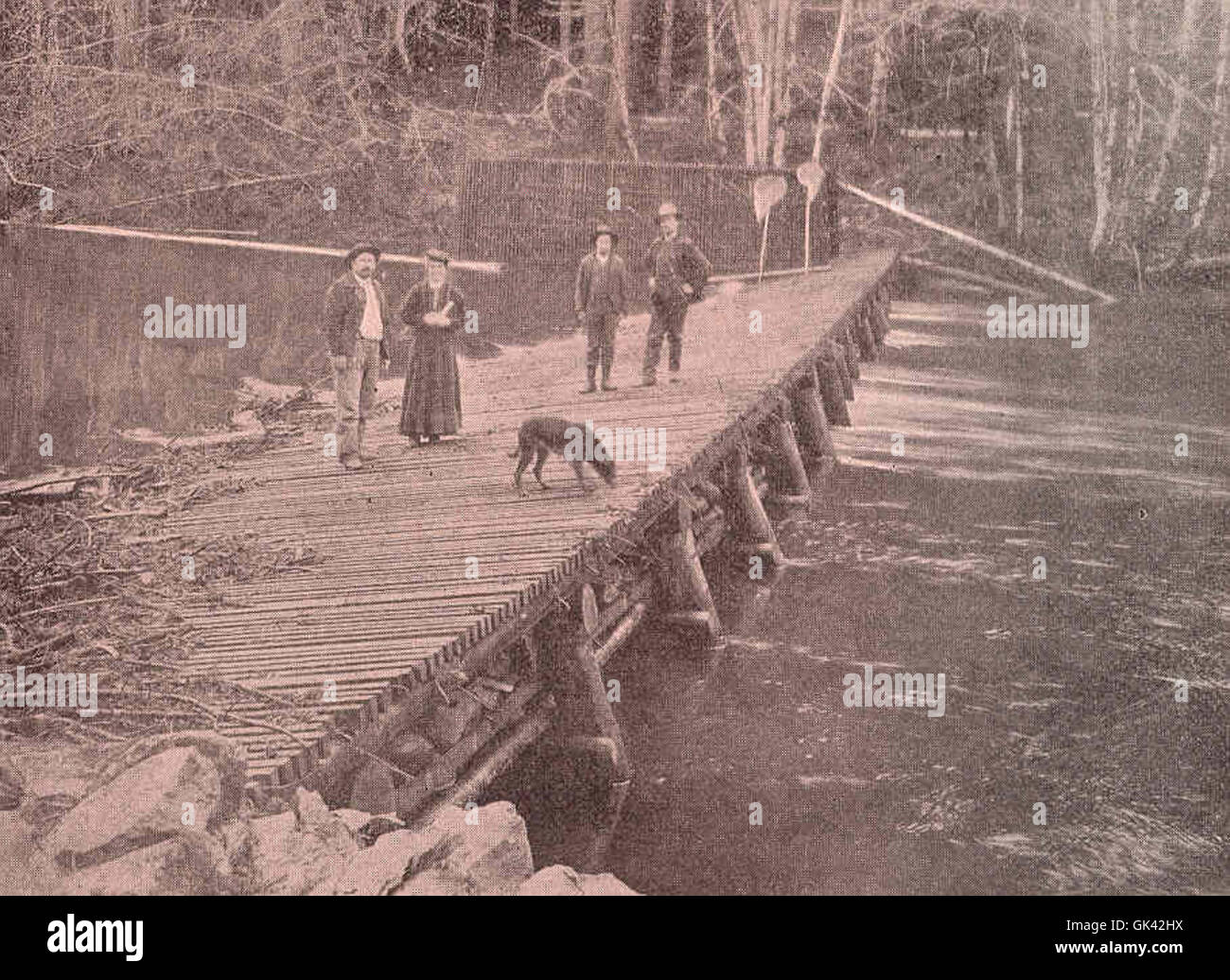 The salmon rack at Lake Creek, Oregon, is a 160-foot structure designed ...