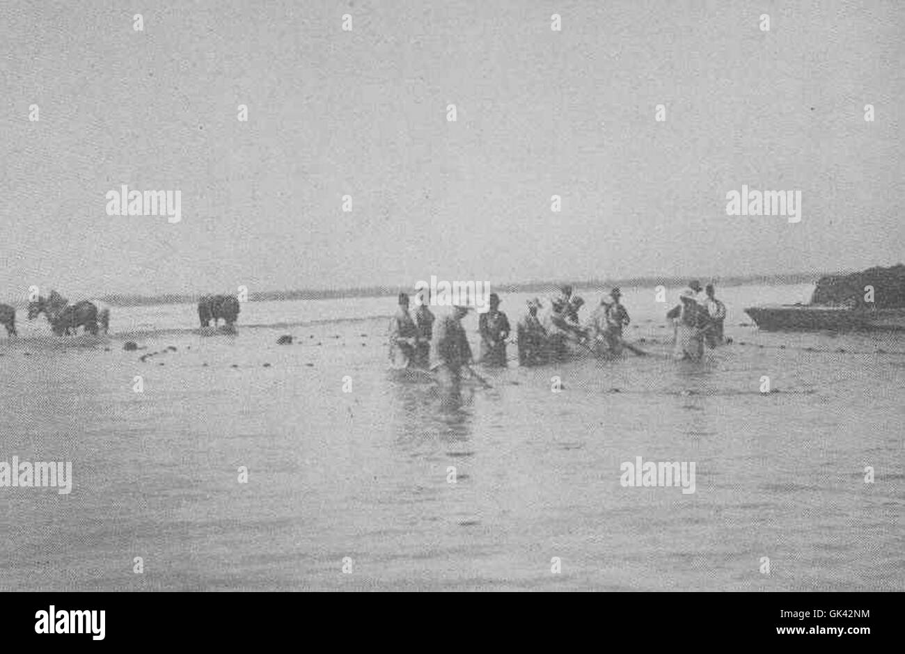 Gillnetters working on the Lower Columbia River, a vital method of ...