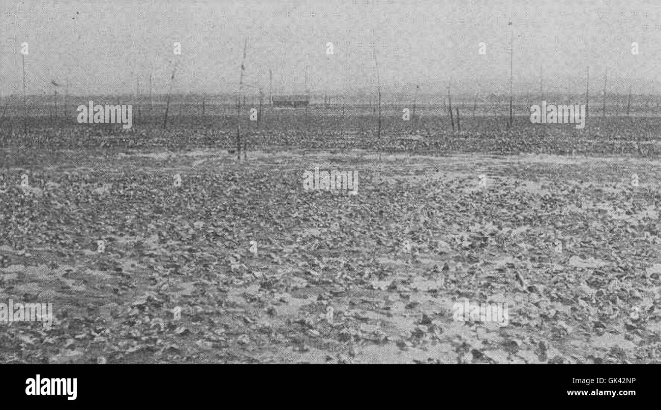 Algae beds Black and White Stock Photos & Images - Alamy
