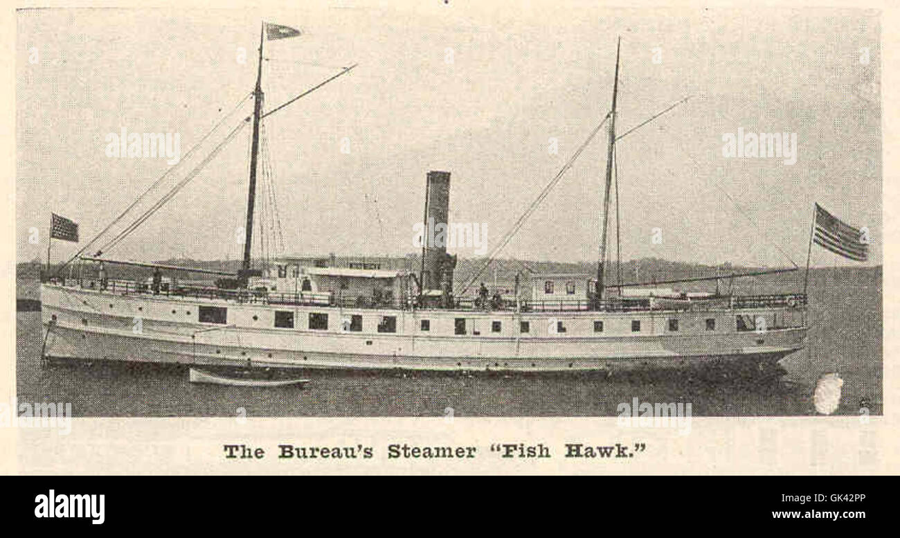 The 'Fish Hawk' was a steam-powered vessel used by the U.S. Bureau of ...