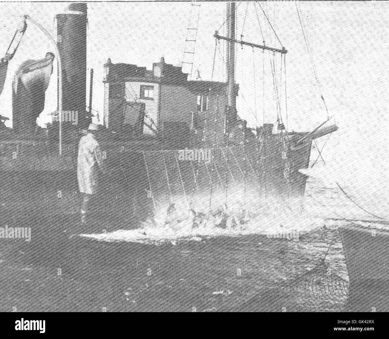 Brailing is a method used in fishing to capture fish from floating ...