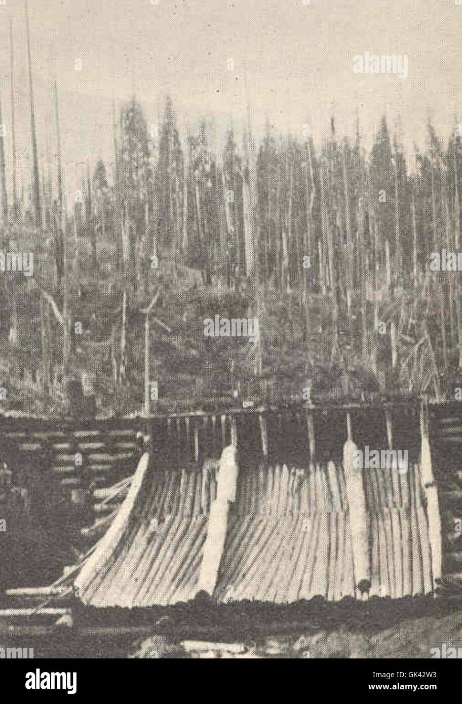 This logging dam, originally built without a fishway, has since been ...