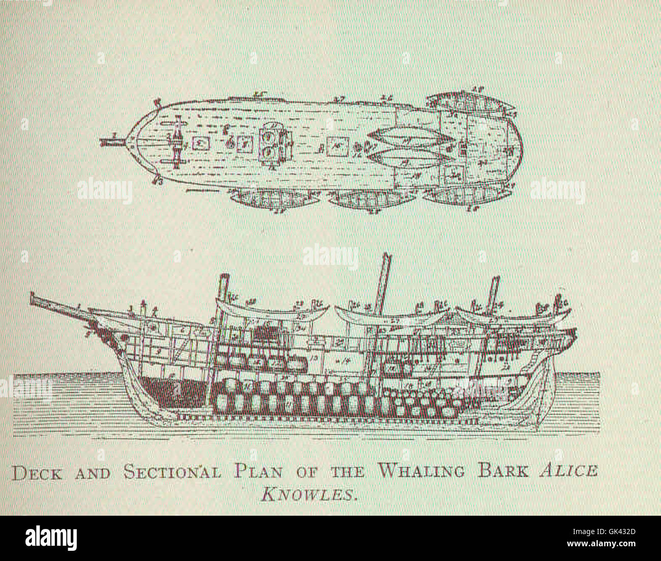 Alice knowles hi-res stock photography and images - Alamy