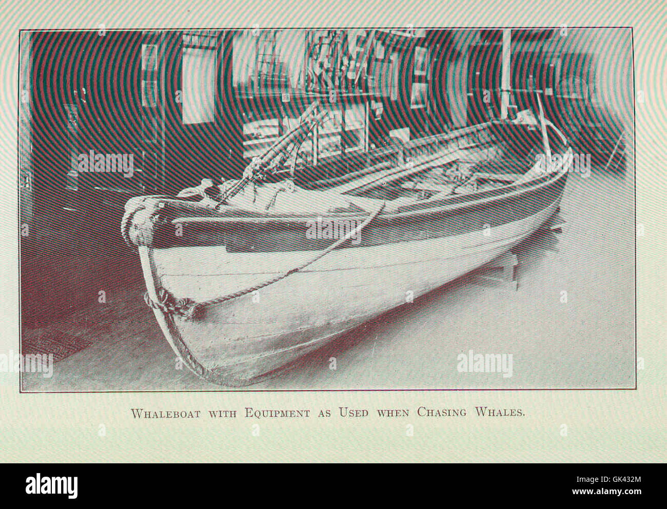 A whaleboat equipped for chasing whales, as used in traditional whaling ...