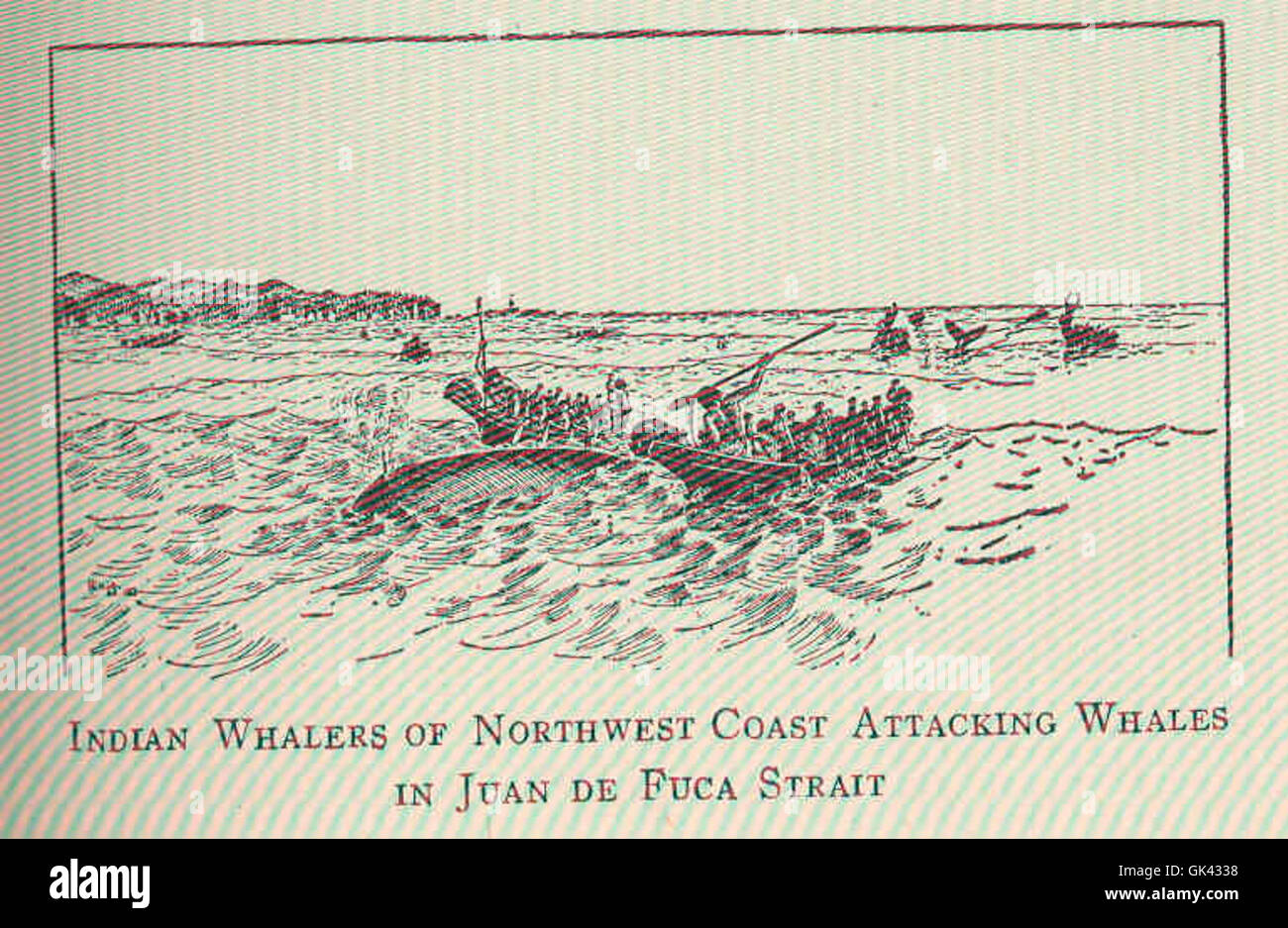 The Indian whalers of the Northwest Coast historically hunted whales in ...