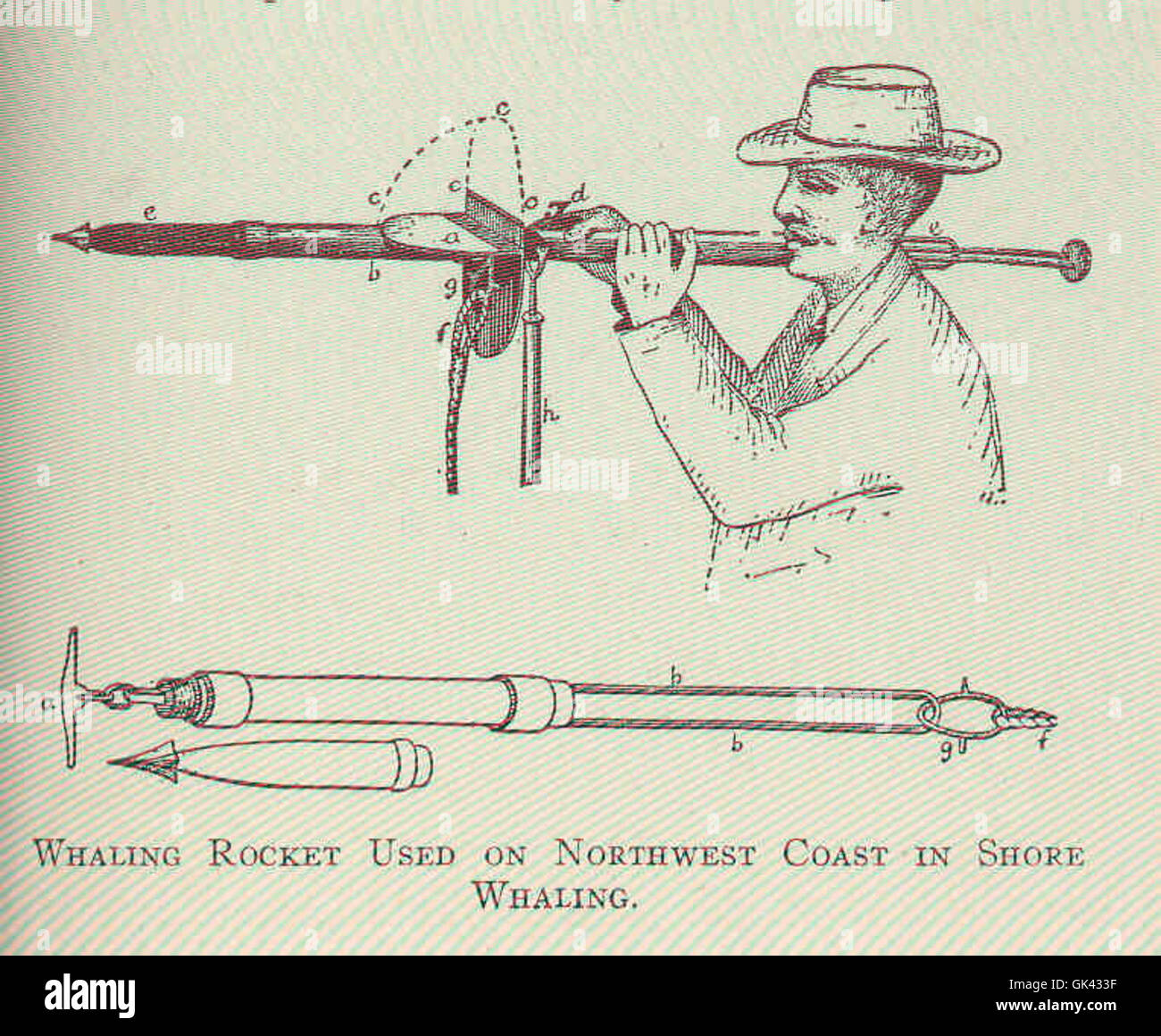 Harpoon whale hi-res stock photography and images - Alamy