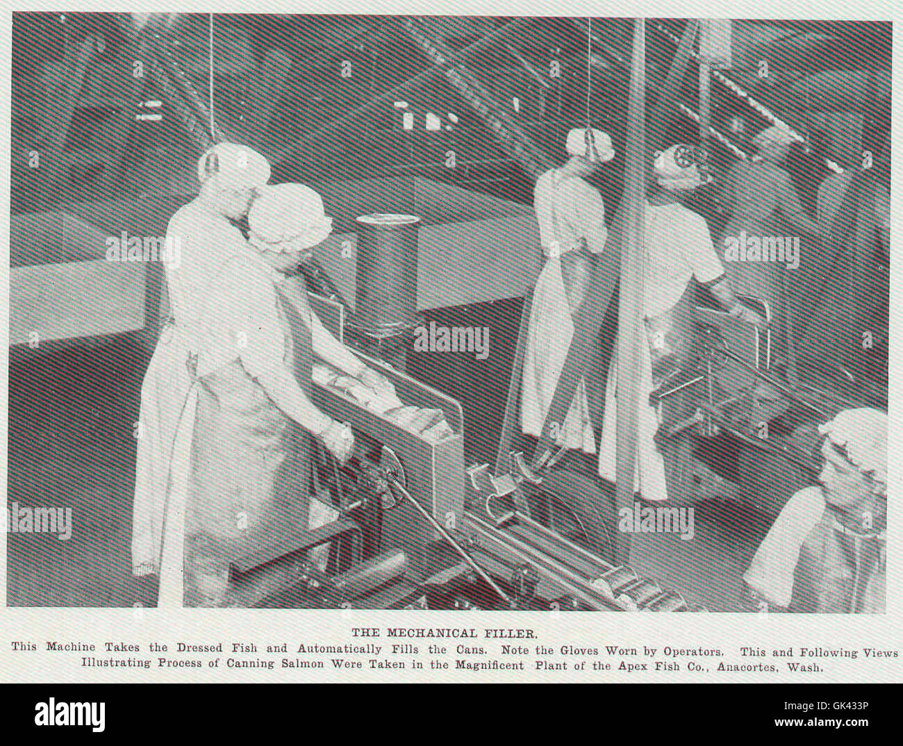 This mechanical filler is used in the fish processing industry to ...