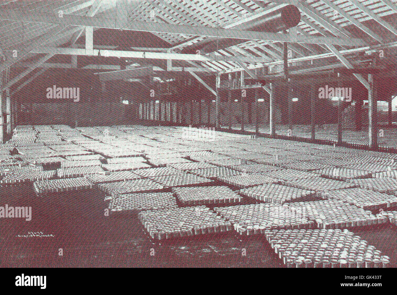 This image shows cans being transferred from retorts to a cooling room ...