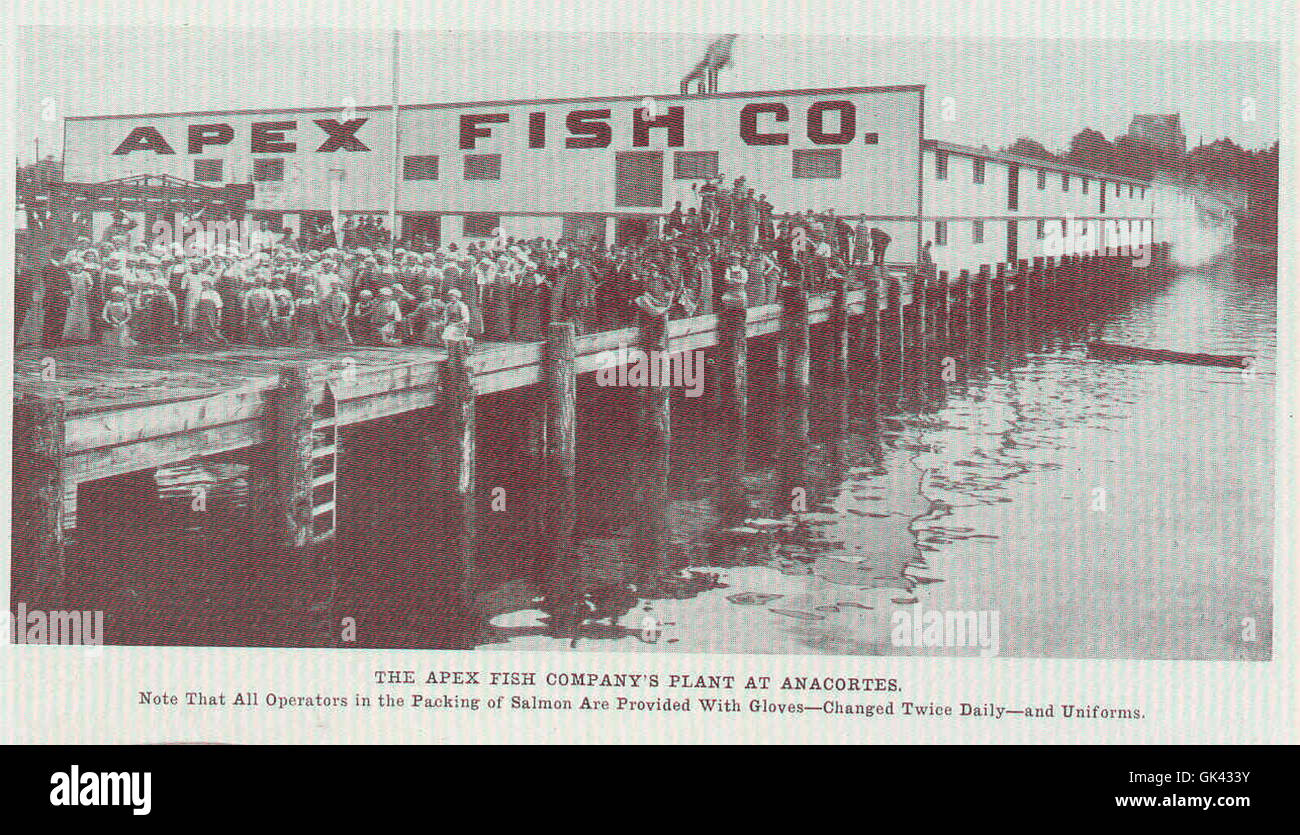 The Apex Fish Company plant in Anacortes focuses on salmon processing ...