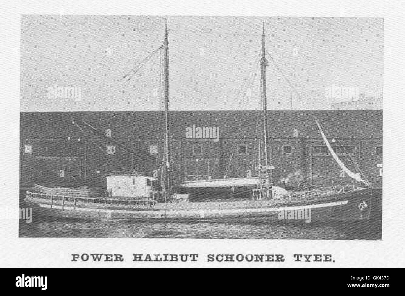 44782 Power Halibut Schooner Type Stock Photo - Alamy