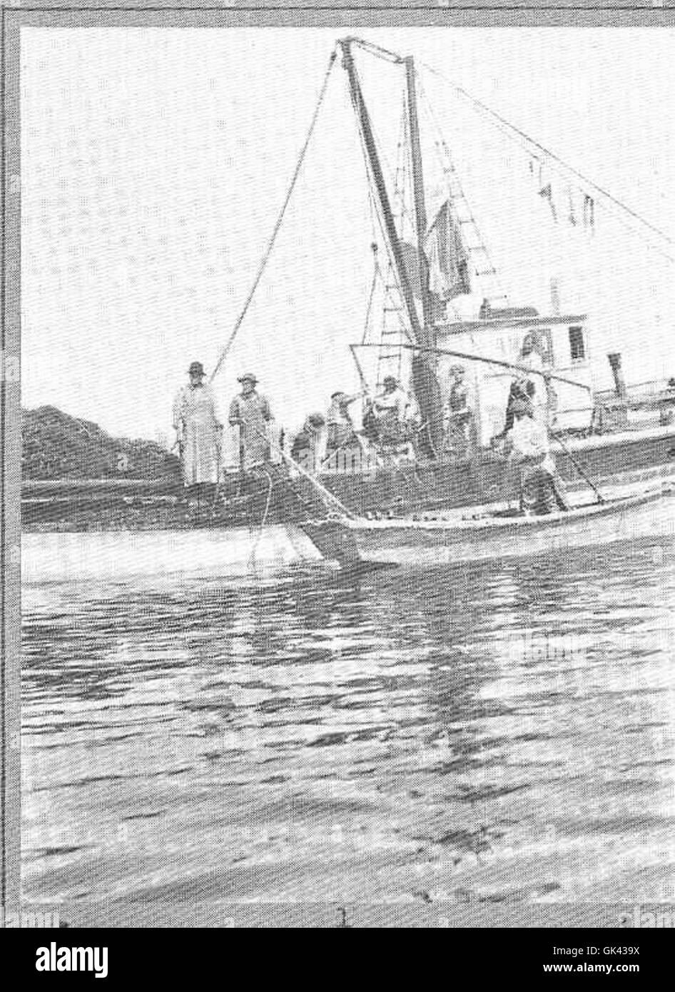 The image depicts fishermen using a purse seine net to capture salmon ...