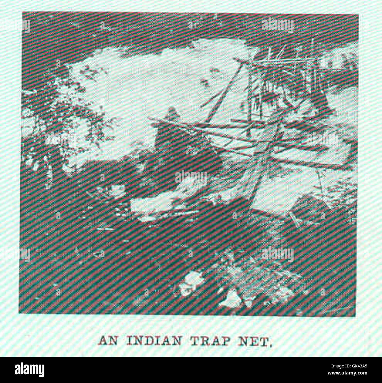 44846 Indian Trap Net Stock Photo - Alamy