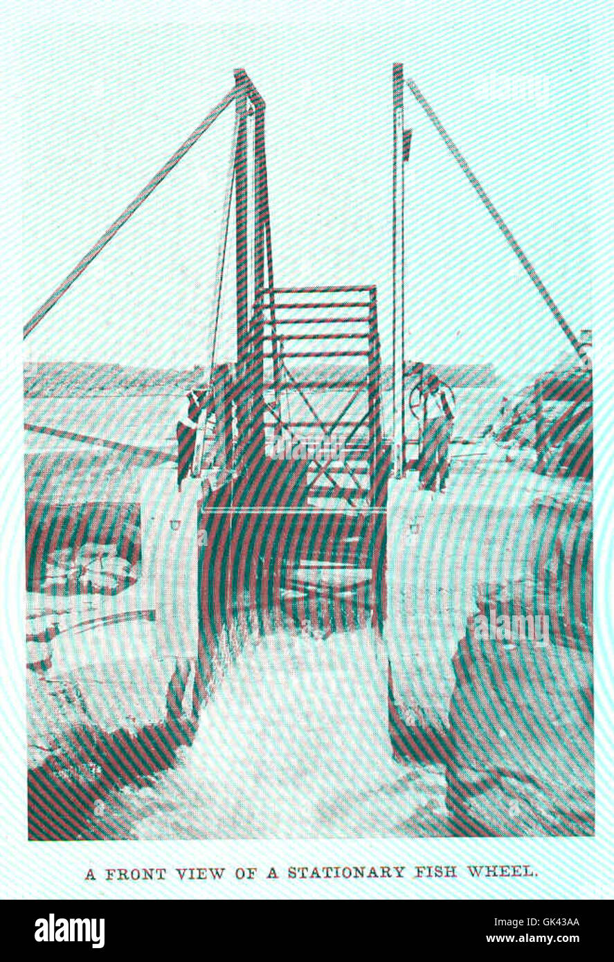 This image shows a stationary fish wheel, used for catching fish in ...