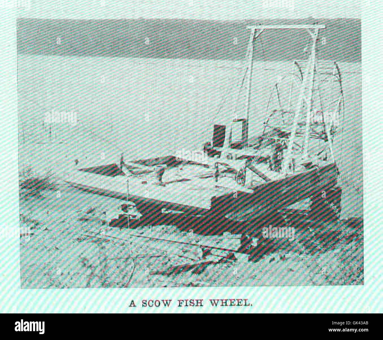 A scow fish wheel is a traditional fishing tool used for capturing fish ...