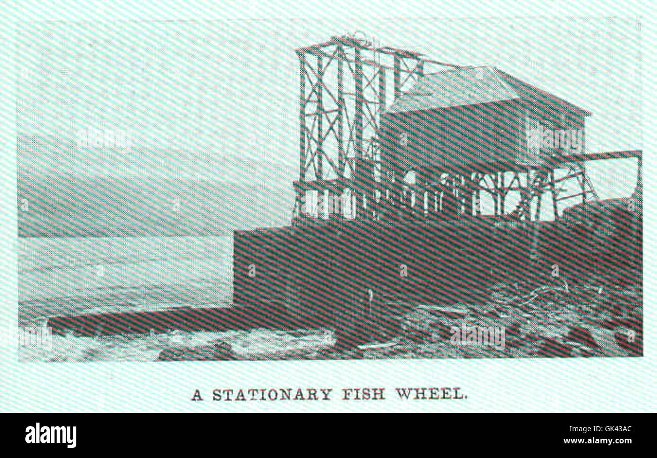 A stationary fish wheel is shown, used for capturing fish in rivers or ...