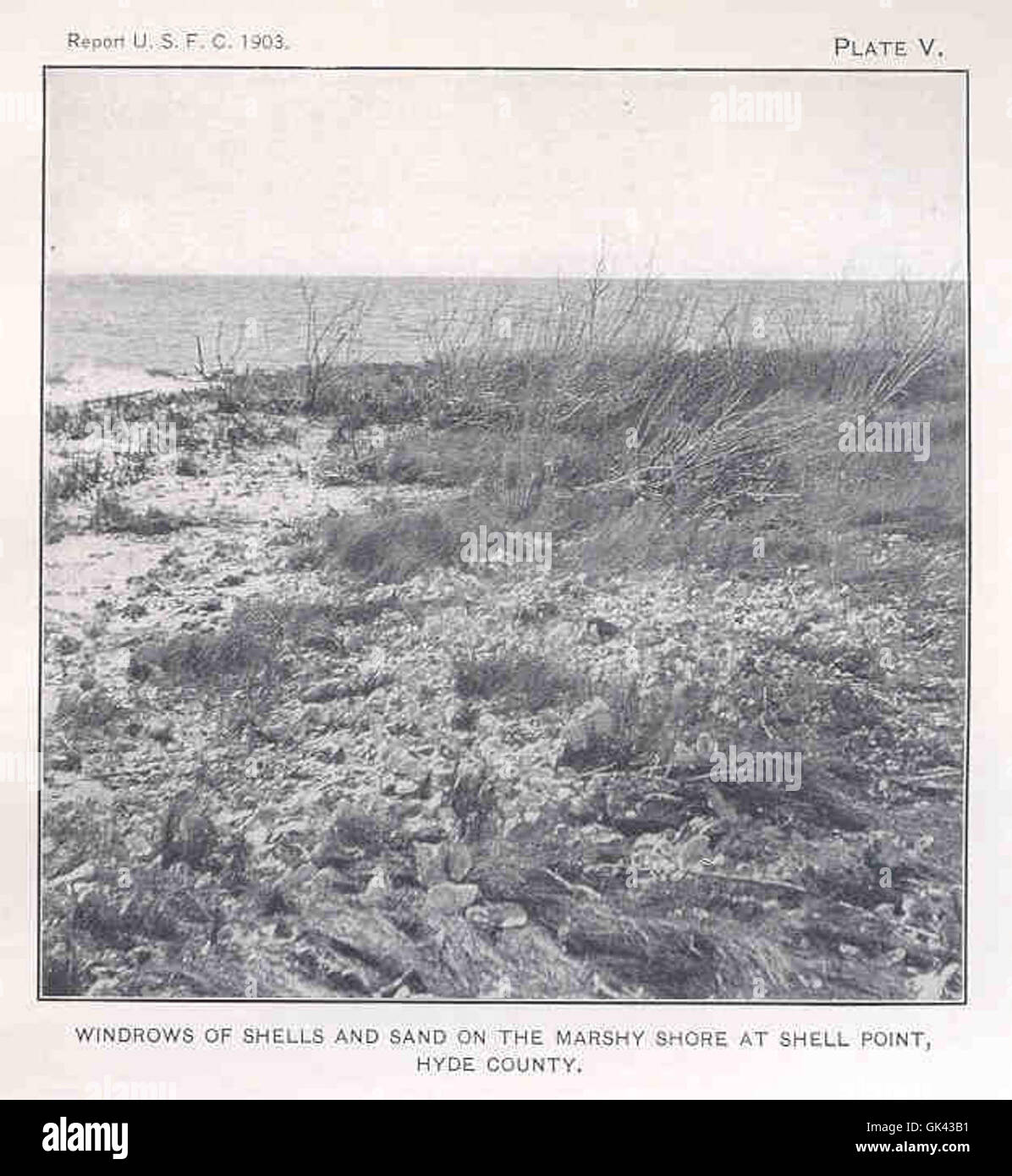The windrows of shells and sand at Shell Point in Hyde County form distinctive patterns along ...