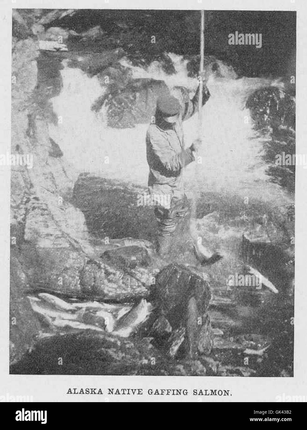 44864 Alaska Native Gaffing Salmon Stock Photo - Alamy