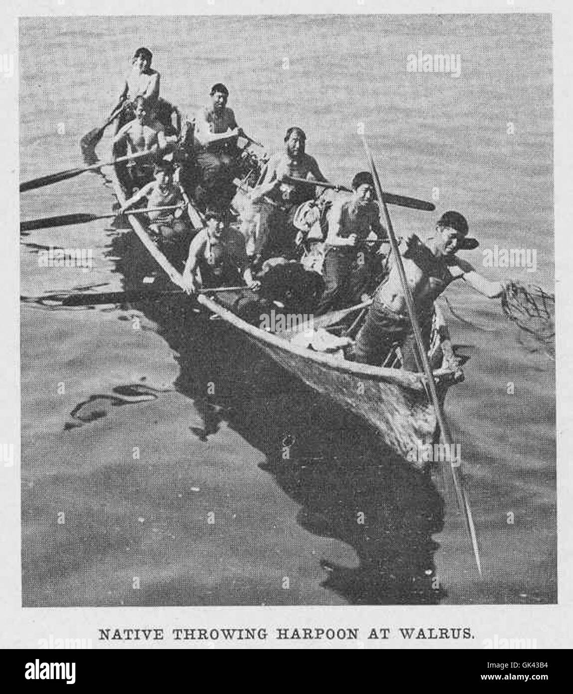 Walrus harpoon Black and White Stock Photos & Images - Alamy