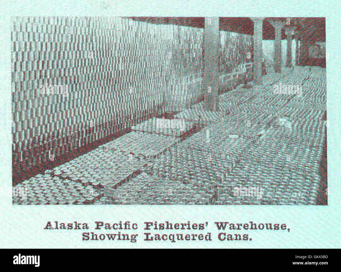 The warehouse of Alaska Pacific Fisheries displays lacquered cans used ...