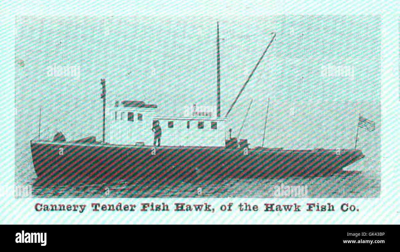 The *Fish Hawk*, a cannery tender for the Hawk Fish Company, was used ...