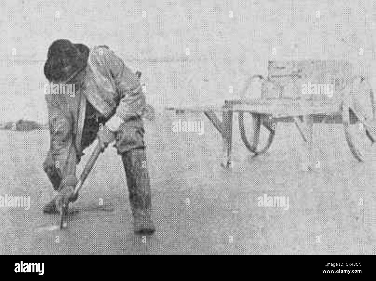 44903 Digging Razor Clams Stock Photo - Alamy